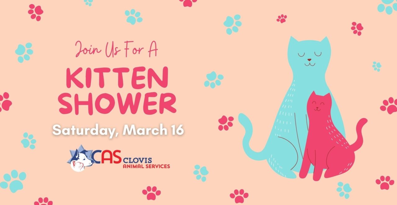 Join us for our first ever "Kitten Shower!" - Clovis Animal Services